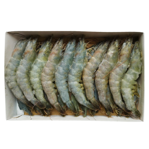 Mẹo Phân Biệt Tôm Tươi và Tôm Ươn Trong Dòng Sản Phẩm Tôm Đông Lạnh ...